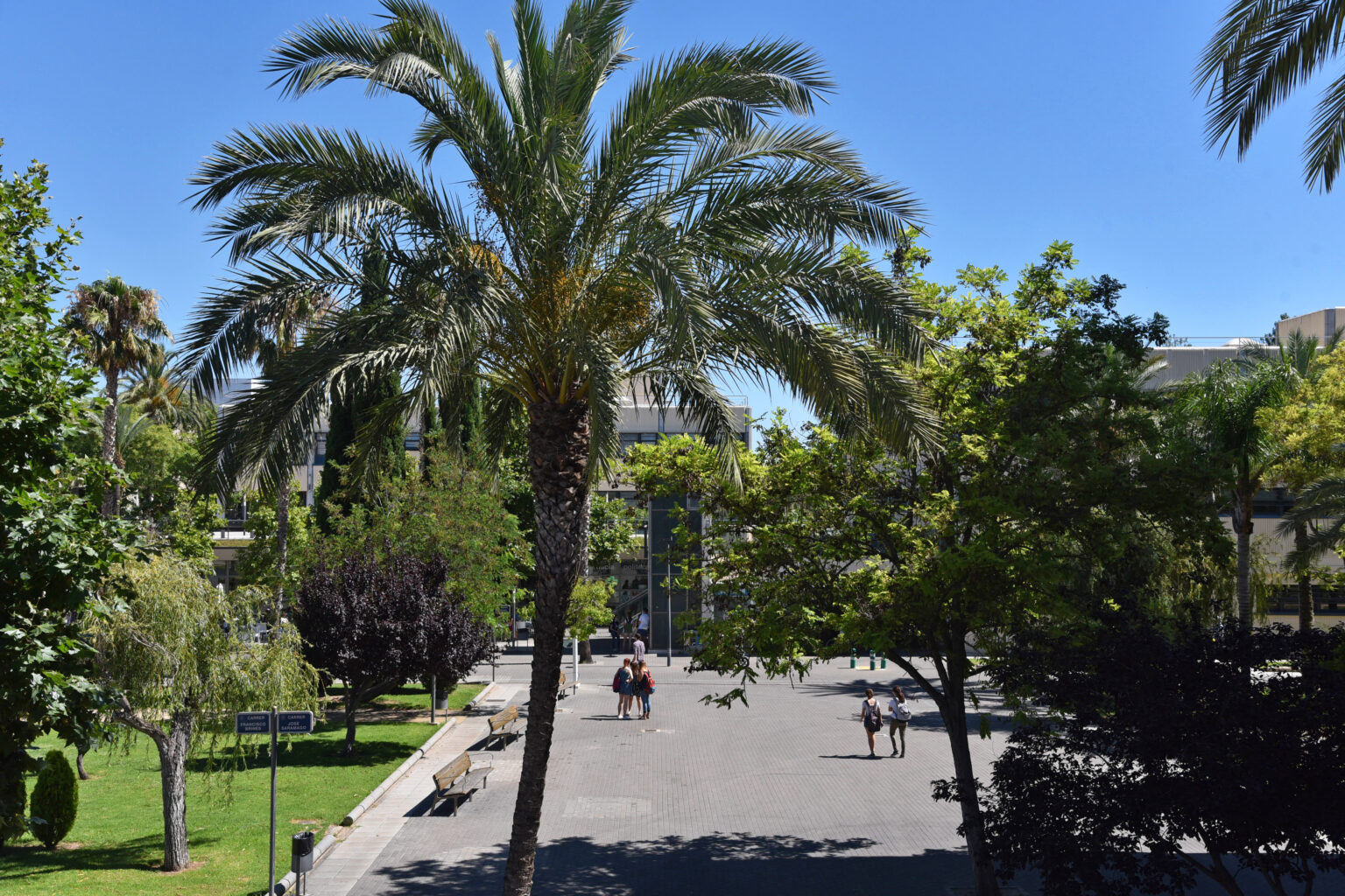 DOCTORALS | Doctoral School | UPV