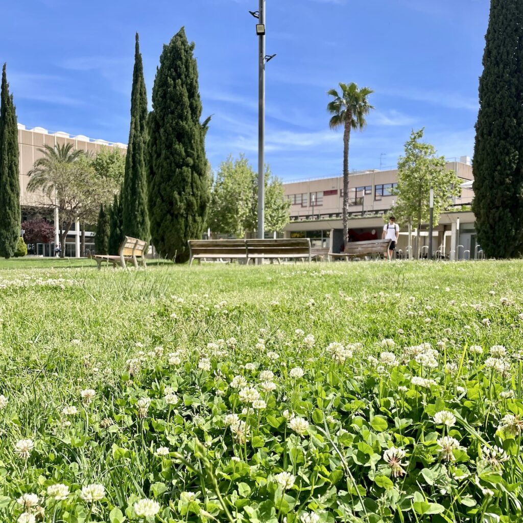 Licitación del Plan Verde y de la Biodiversidad de la UPV | VCAMPUS | UPV