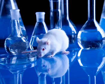 MUCAL | Máster Universitario en Ciencia de Animales de Laboratorio | UPV