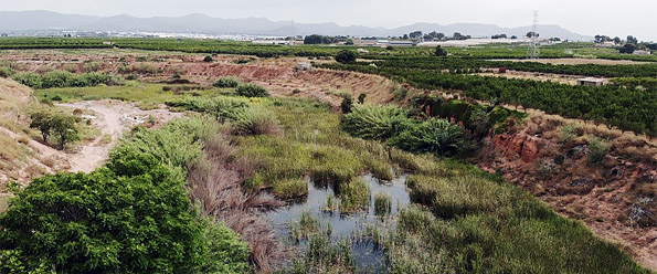 Noticia UPV: Investigadores de la Politècnica de València desarrollan ...